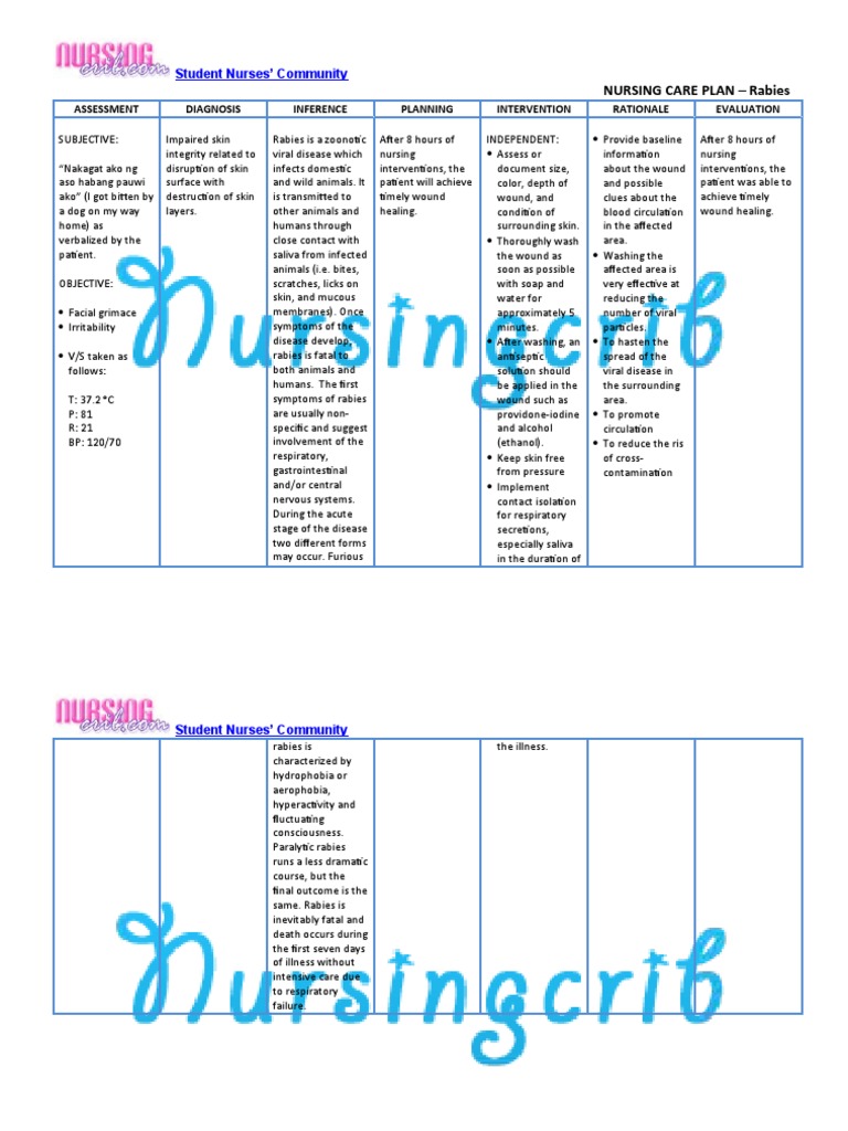 Student Nurses' Community: Nursing Care Plan Rabies | PDF | Rabies ...