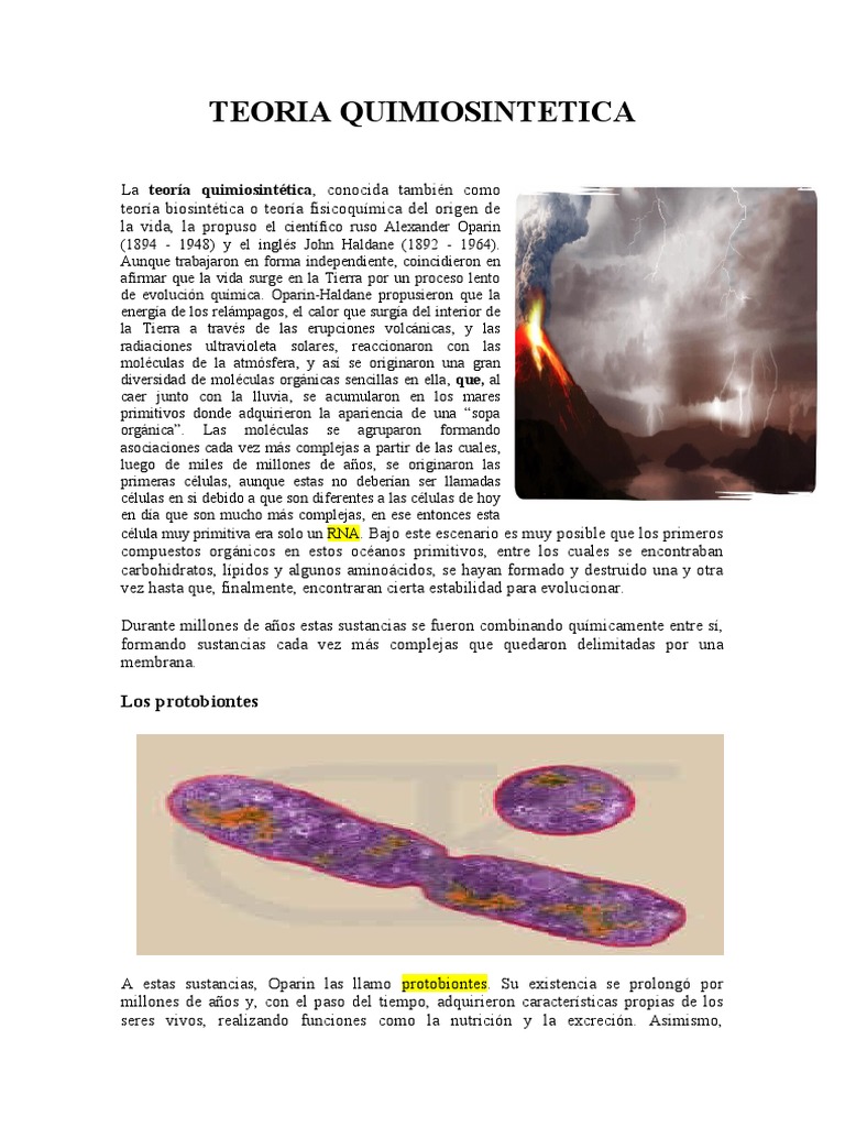 Teoria Quimiosintetica | PDF | Organismos | Biología