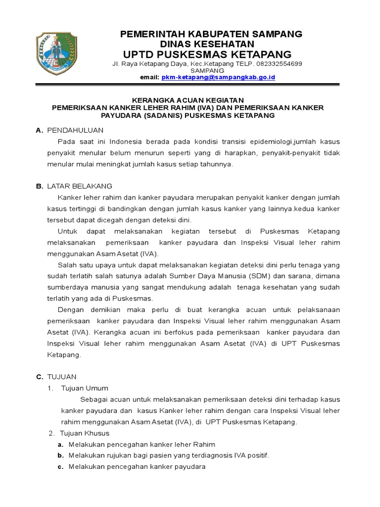 Kak Iva Dan Sadanis | PDF