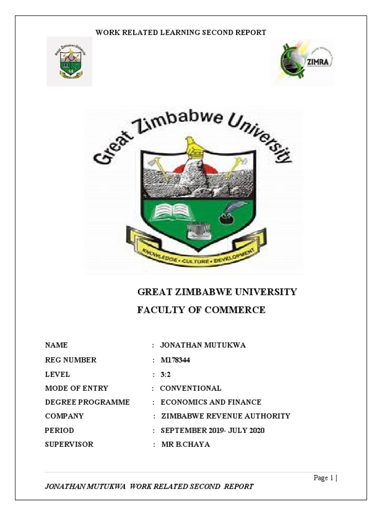 Jonathan Mutukwa Second Report | PDF | Value Added Tax | Taxes