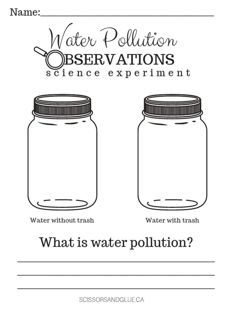 Water Pollution Observation Activity | PDF