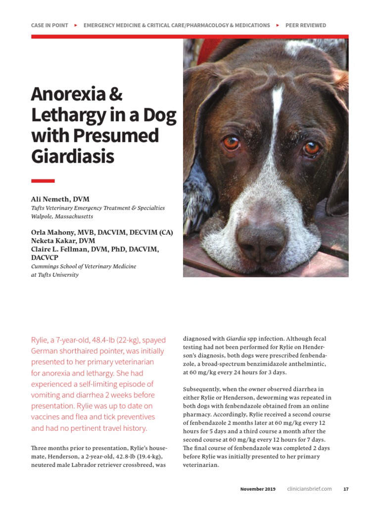 Anorexia & Lethargy in A Dog With Presumed Giardiasis | PDF | White ...