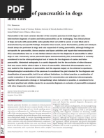 Kitty Magic | PDF | Anesthesia | Surgery