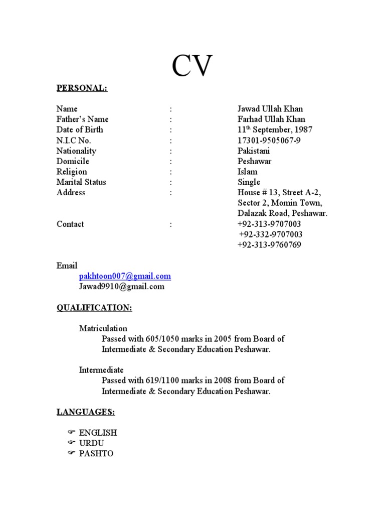 Jawad CV | PDF