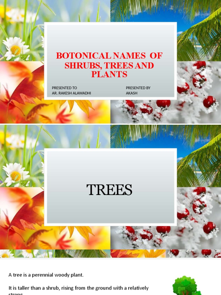Botanical Names of Trees and Shrubs | PDF | Shrub | Trees