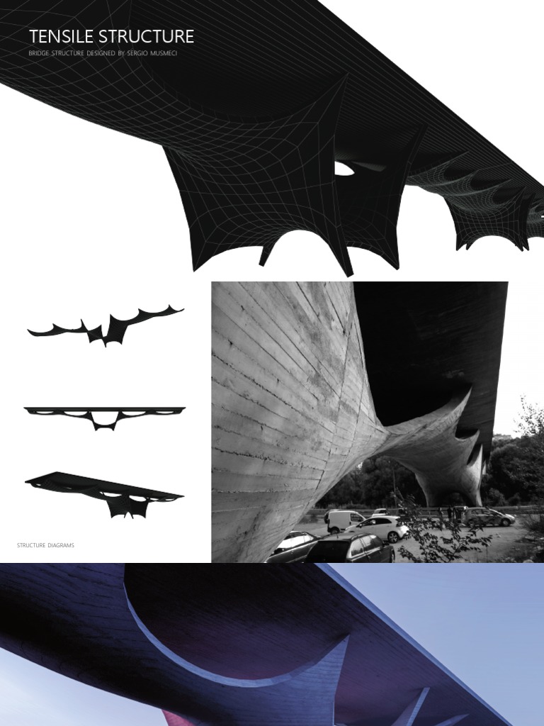 Tensile Structure: Bridge Structure Designed BY Sergio Musmeci | PDF