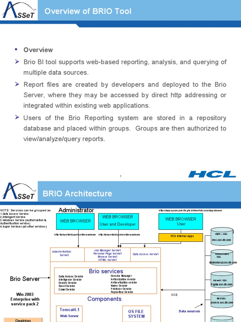 Overview of BRIO Tool | PDF | Web Application | Internet & Web