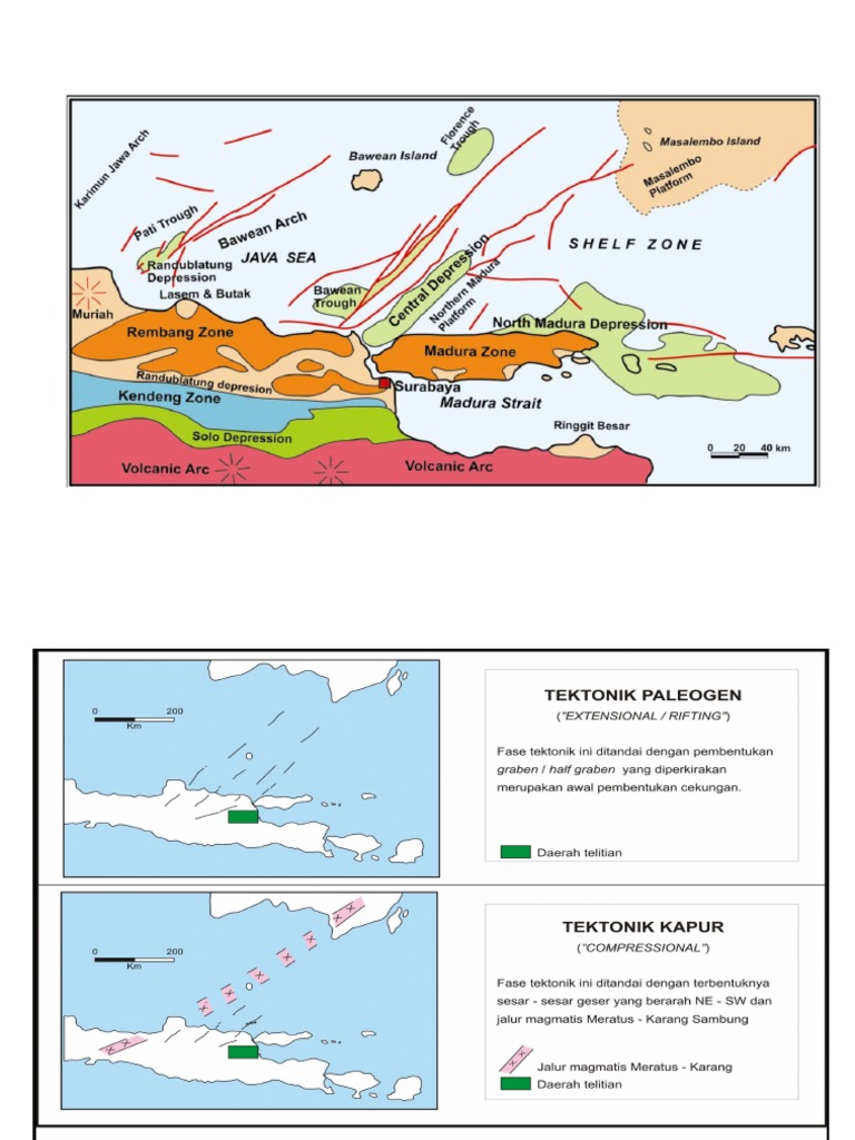 East Java Petroleum System Analysis | PDF | Petroleum Reservoir | Petroleum