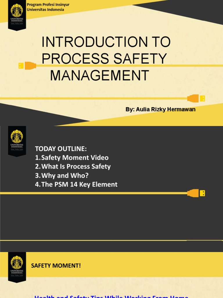 Process Safety Management | PDF | Prevention | Safety