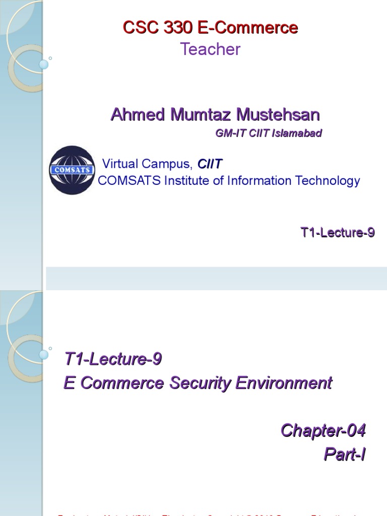 E Commerce Security Environment Pdf Computer Virus Security Hacker