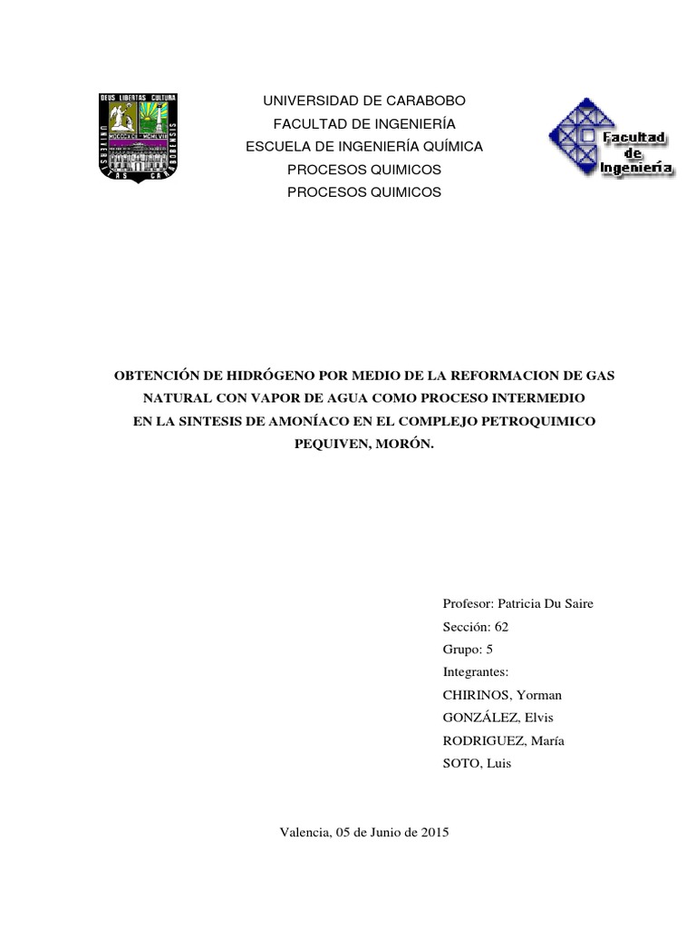Obtención de hidrógeno a partir de la reformación de gas natural con ...