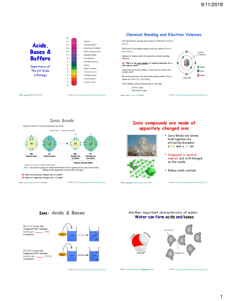 Acids, Bases, and pH in Biology | PDF | Chemical Bond | Ph