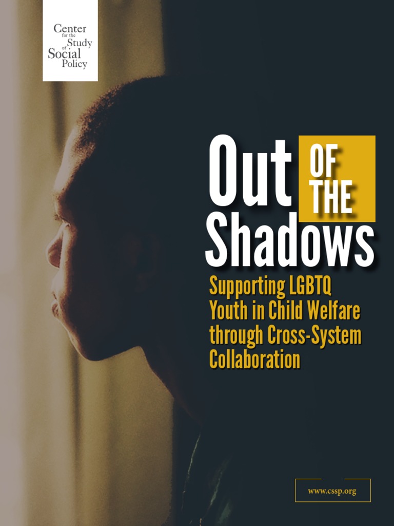Out of The Shadows Supporting LGBTQ Youth in Child Welfare Through ...
