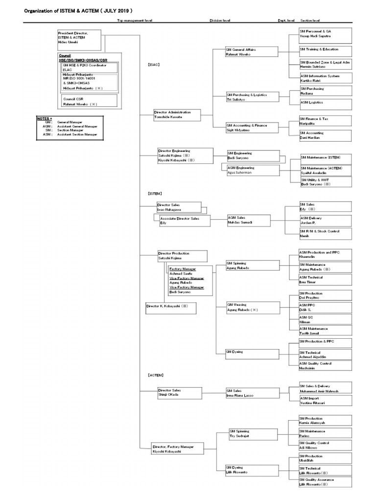 ISTEM & ACTEM Organizational Structure | PDF | Business | Economies