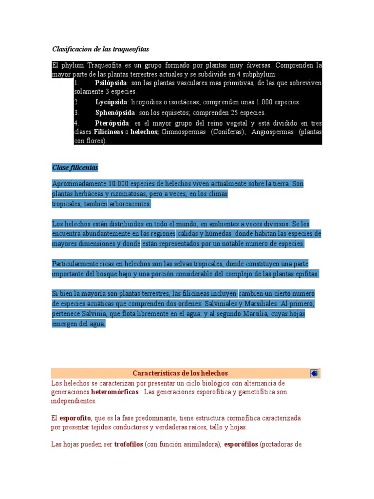 Clasificación de Las Traqueofitas | PDF | Helecho | Plantas