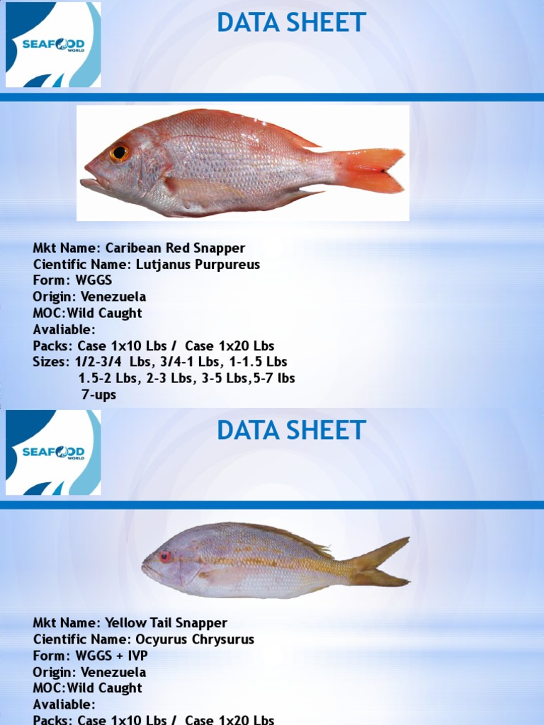 Venezuelan Seafood Product Data Sheets | PDF | Fauna | Aquatic Animals