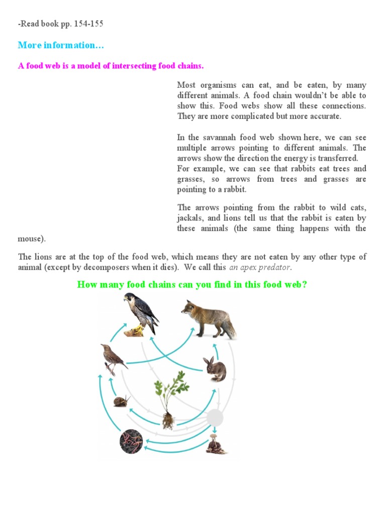 More Information : A Food Web Is A Model of Intersecting Food Chains | PDF