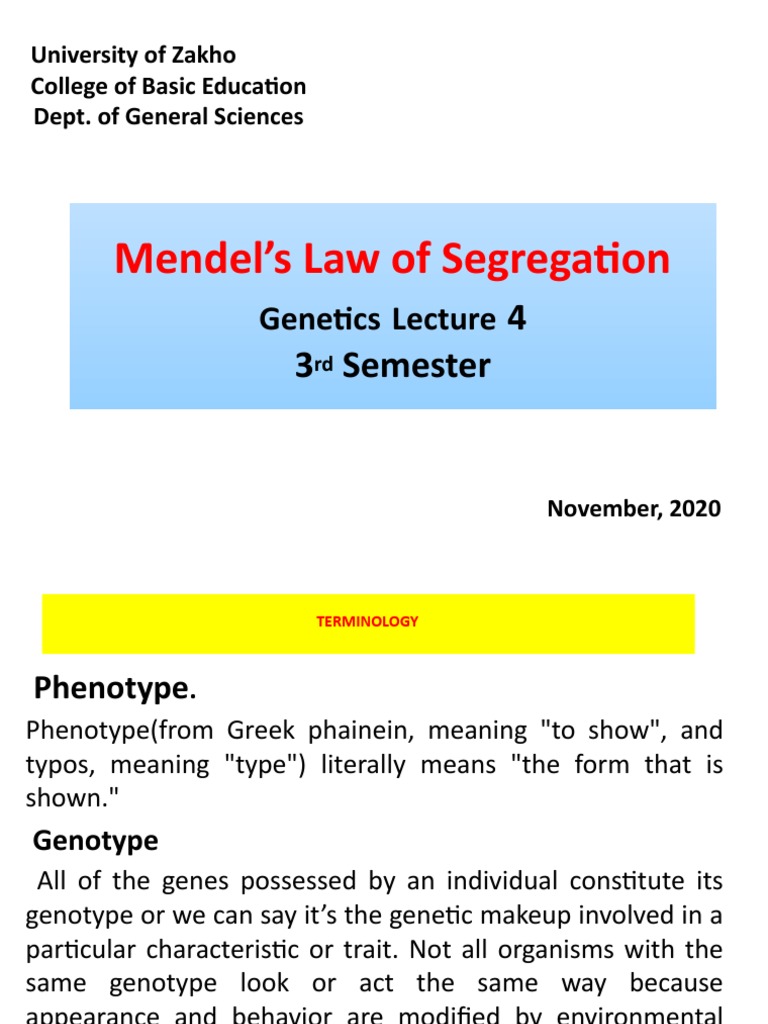 Mendel's Law of Segregation: 4 3 Semester | PDF | Zygosity | Dominance ...