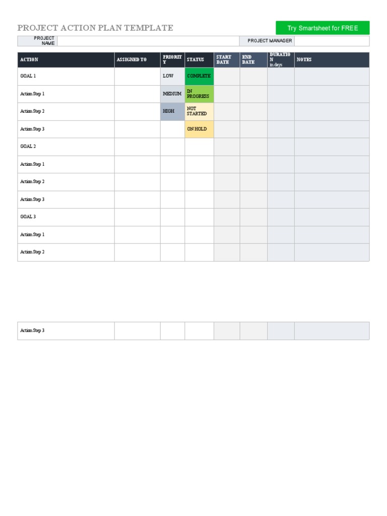 Project Action Plan Template | PDF