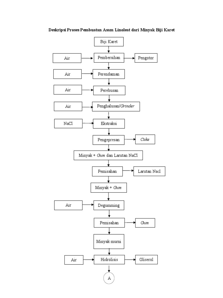 Deskripsi Proses Pembuatan Asam Linoleat Dari Minyak Biji Karet | PDF