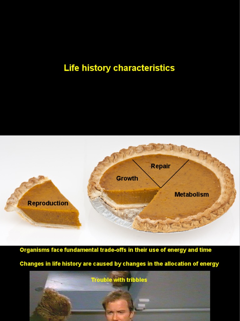 Life History Characteristics | PDF | Reproduction | Biological Processes