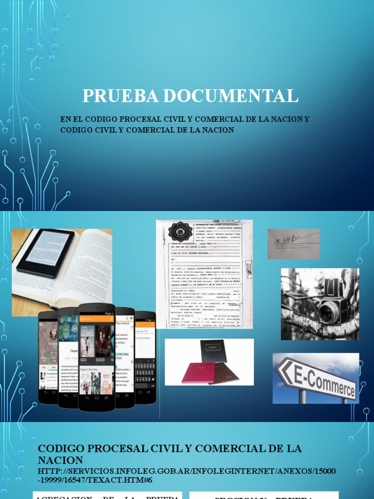 Prueba Documental | PDF