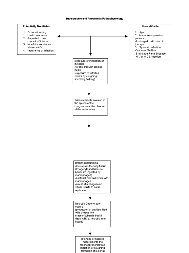 Pathophysiology | Tuberculosis | Infection