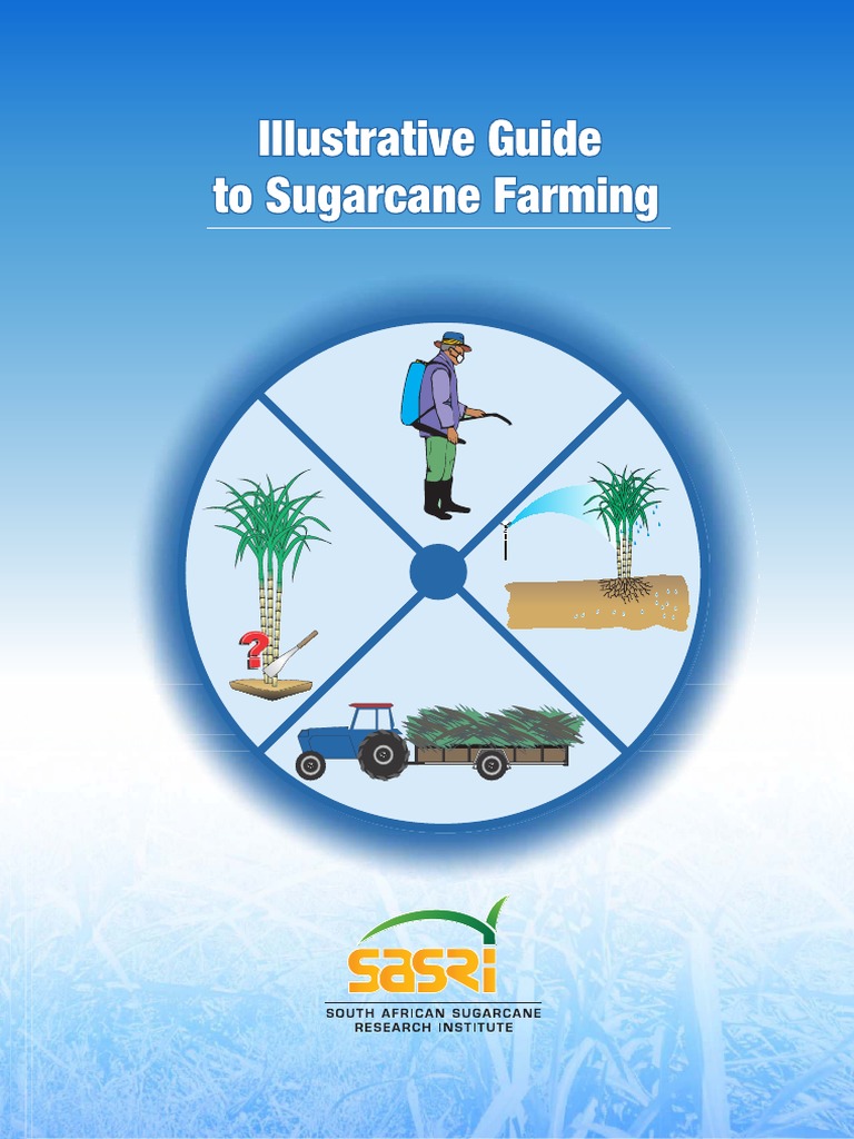 Illustrative Guide To Sugarcane Farming | PDF | Sugarcane ...