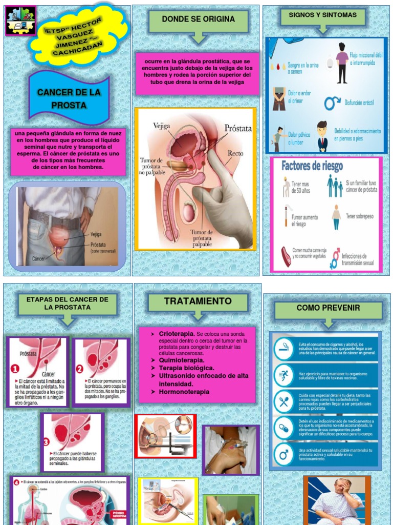 Triptico de Cancer de Prostata-Lourdes | PDF
