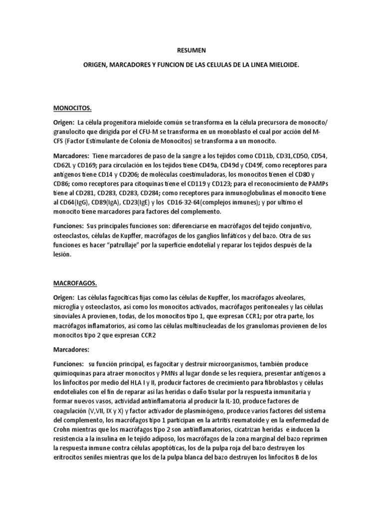 Células de la Línea Mieloide: Origen y Funciones | PDF | Macrófago ...