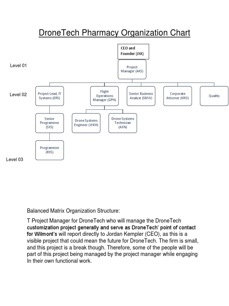 Dronetech Pharmacy Organization Chart: Level 01 | PDF