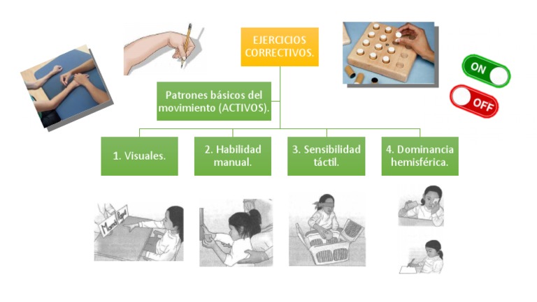 Ejercicios Correctivos Doman-Delacato | PDF