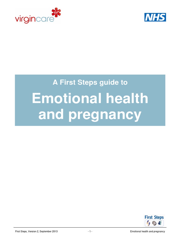 Emotional Health and Pregnancy: A First Steps Guide To | PDF ...