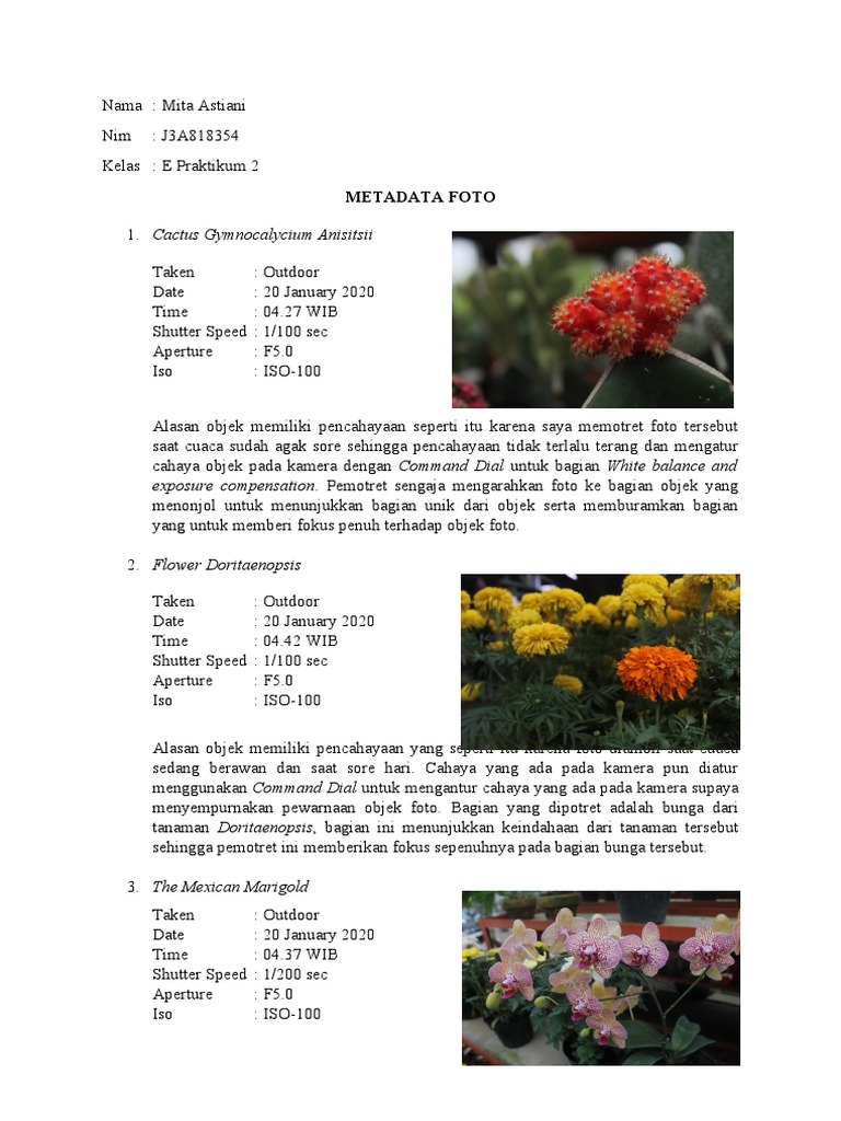 Contoh - Metadata Foto - 11234 | PDF