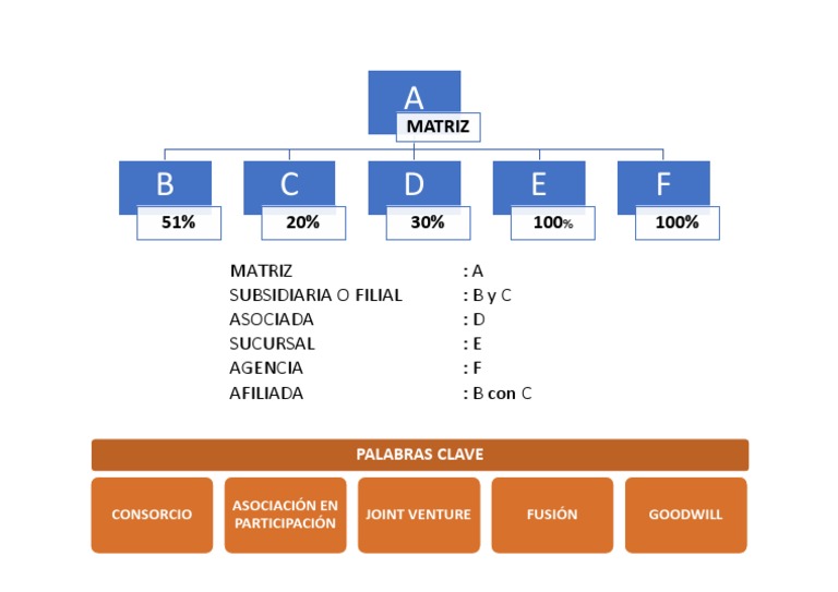 Grafico - Matriz y Subsidiarias | PDF