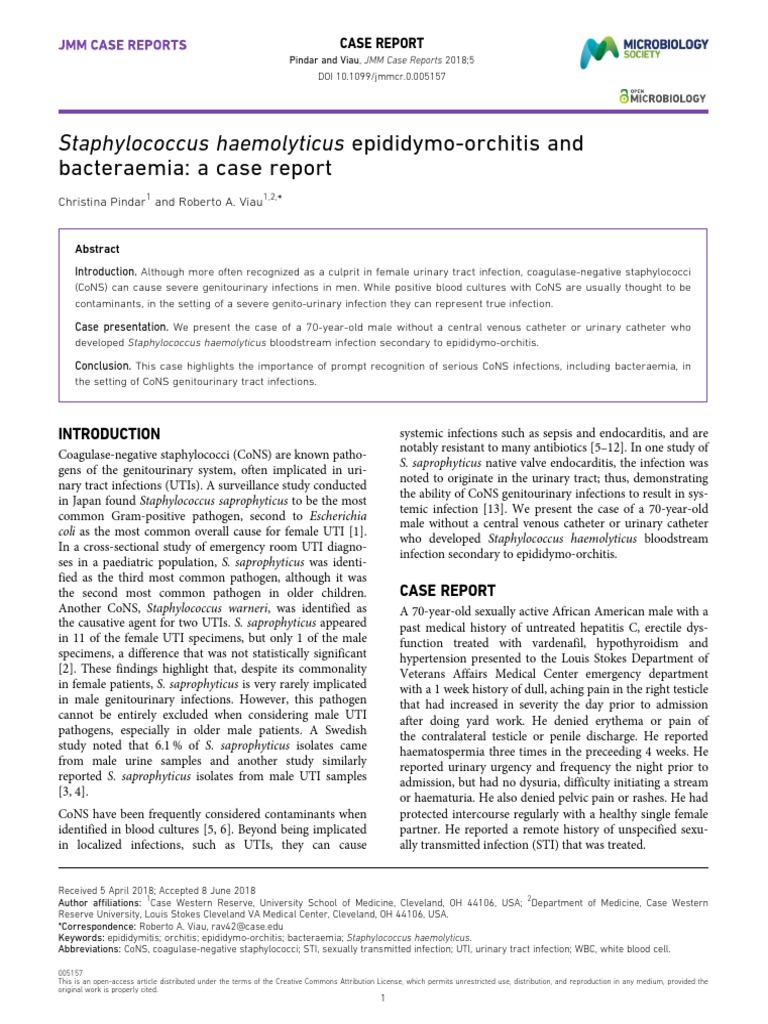 Staphylococcus Haemolyticus Epididymo-Orchitis and Bacteraemia | PDF ...