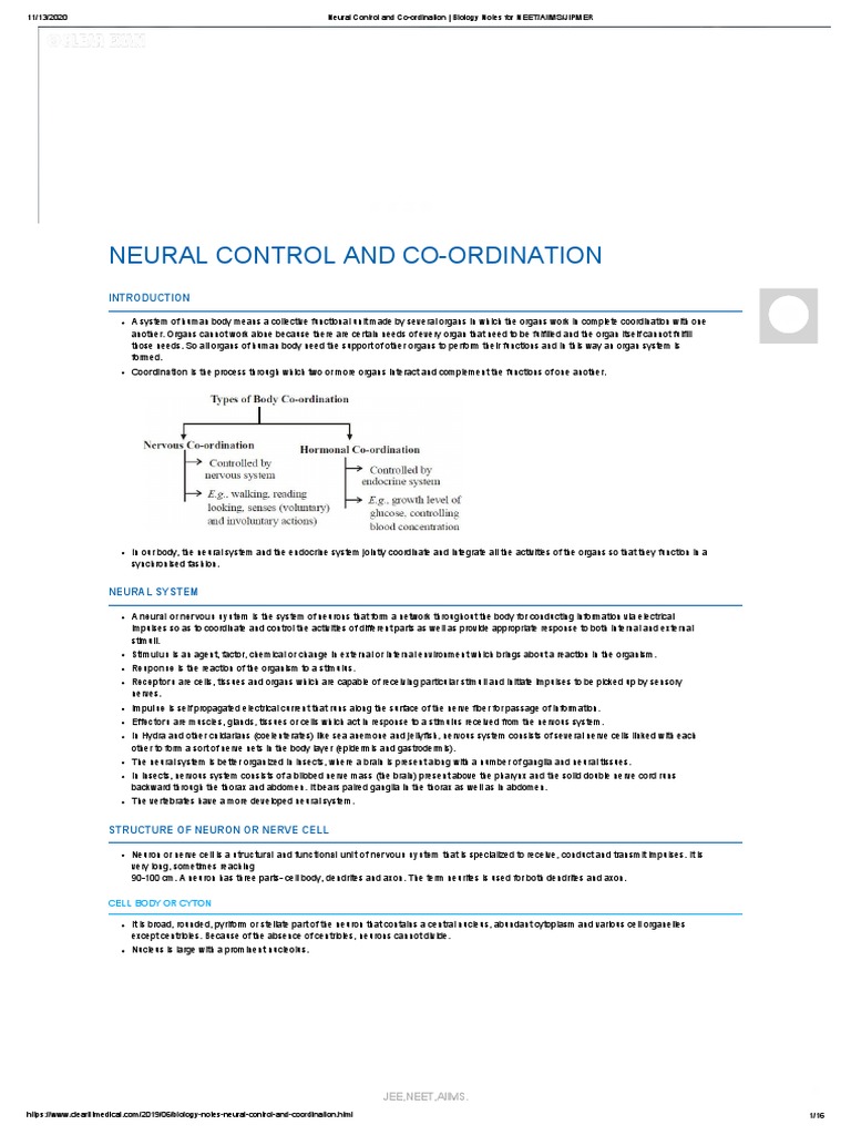 Neural Control and Co-Ordination - Biology Notes For NEET - AIIMS ...