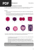 Mouse Parts | PDF | Organ (Anatomy) | Digestive System