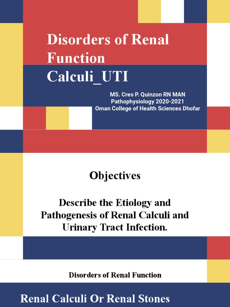 Etiology of Renal Calculi & UTIs | PDF | Urinary Tract Infection ...