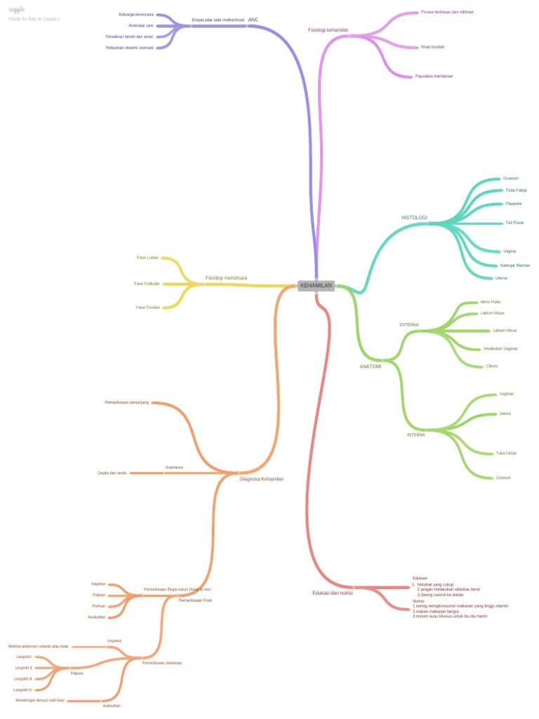 Mind Map KEHAMILAN PDF | PDF