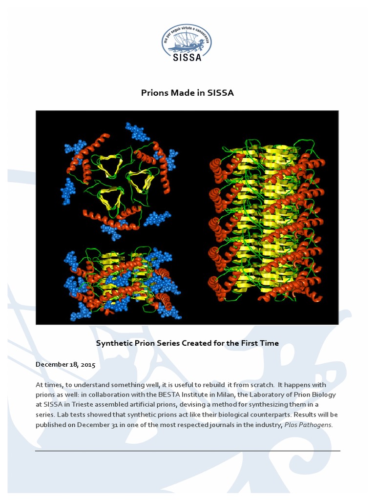 Eng Prioni Made in SISSA - GEL | PDF | Biology | Clinical Medicine