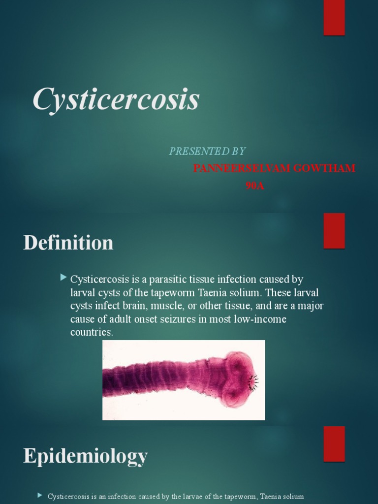 Cysticercosis (Panneerselvam Gowtham 90A) | PDF | Diseases And ...