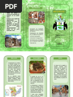 Tríptico Región Costa Ucayali | PDF | Viajes