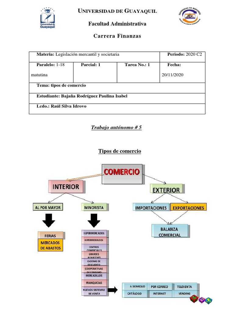 Tipos de Comercio y Clasificación | PDF | Comercio | Al por menor