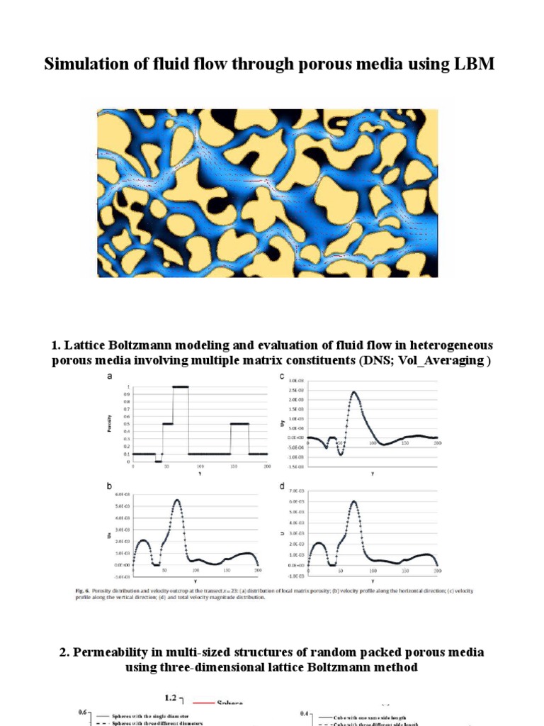 Simulation of Fluid Flow Through Porous Media Using LBM | PDF