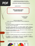 Panopea Generosa | PDF | Bivalvia