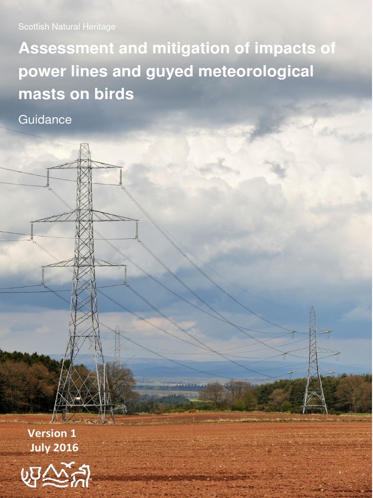 Guidance - Assessment and Mitigation of Impacts of Power Lines and ...