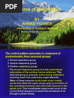 PGH Map | PDF | Radiology | Anthropometry