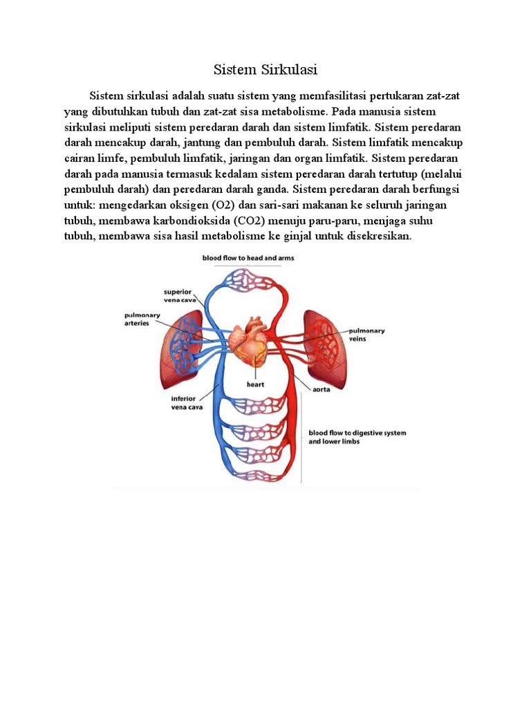 Resume Sistem Sirkulasi | PDF