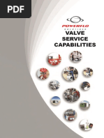 PSV Testing: Requirements and Procedures | PDF | Mechanical Engineering ...